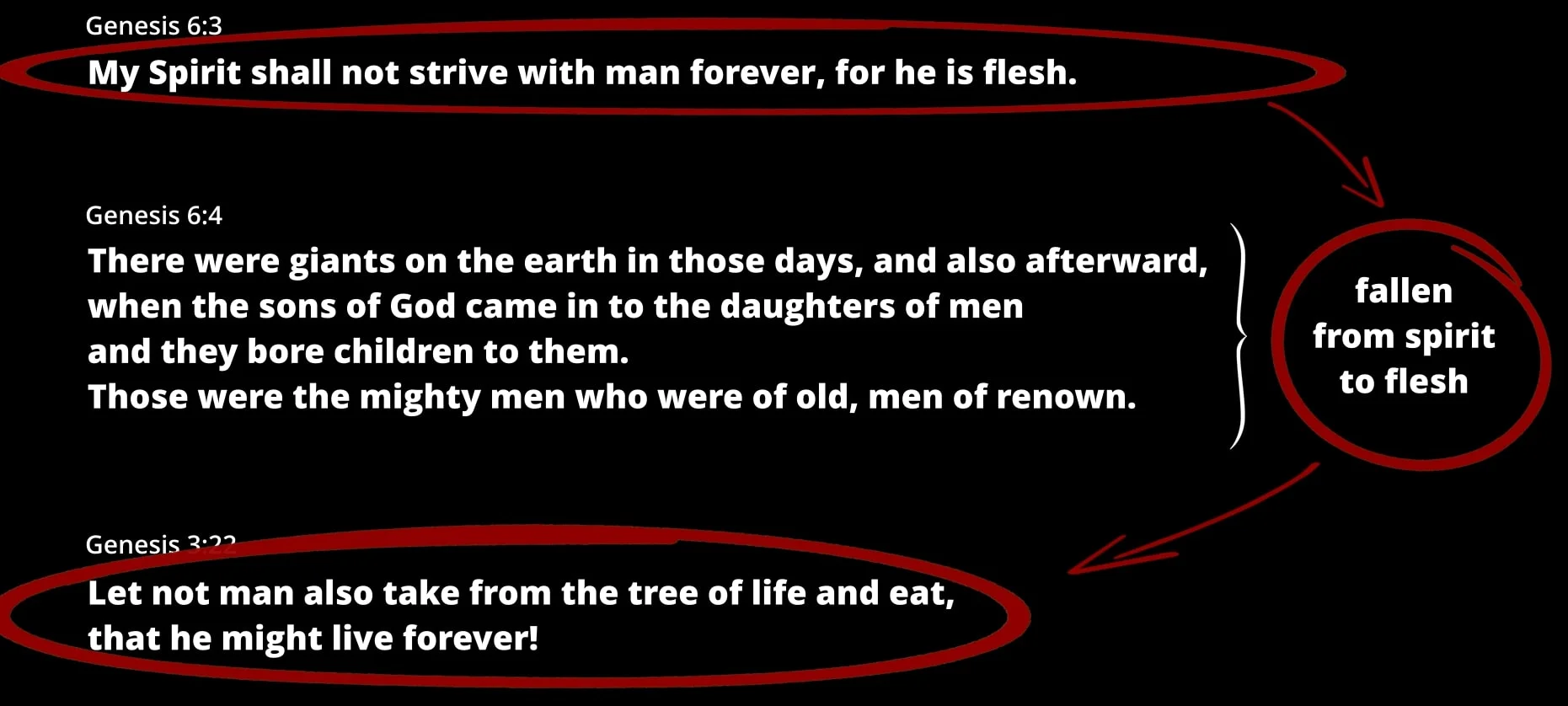 Genesis 6 Decoded: Nephilim, Flood, and Your Identity in Christ